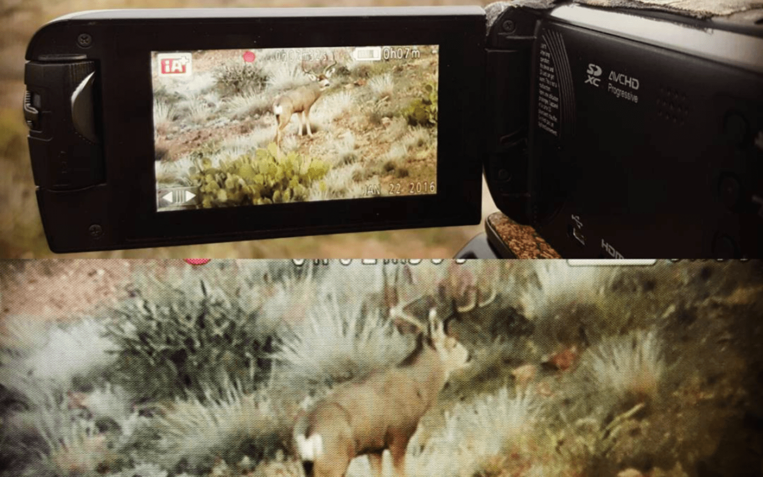 Quality Affordable Cameras for Hunting - Western Hunter