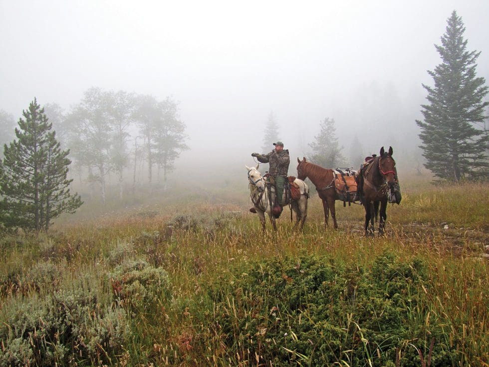 Navigating the Backcountry Horseback Hunting - Western Hunter