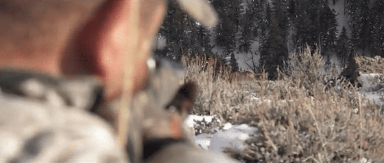 Powder in Black & White - Western Hunter