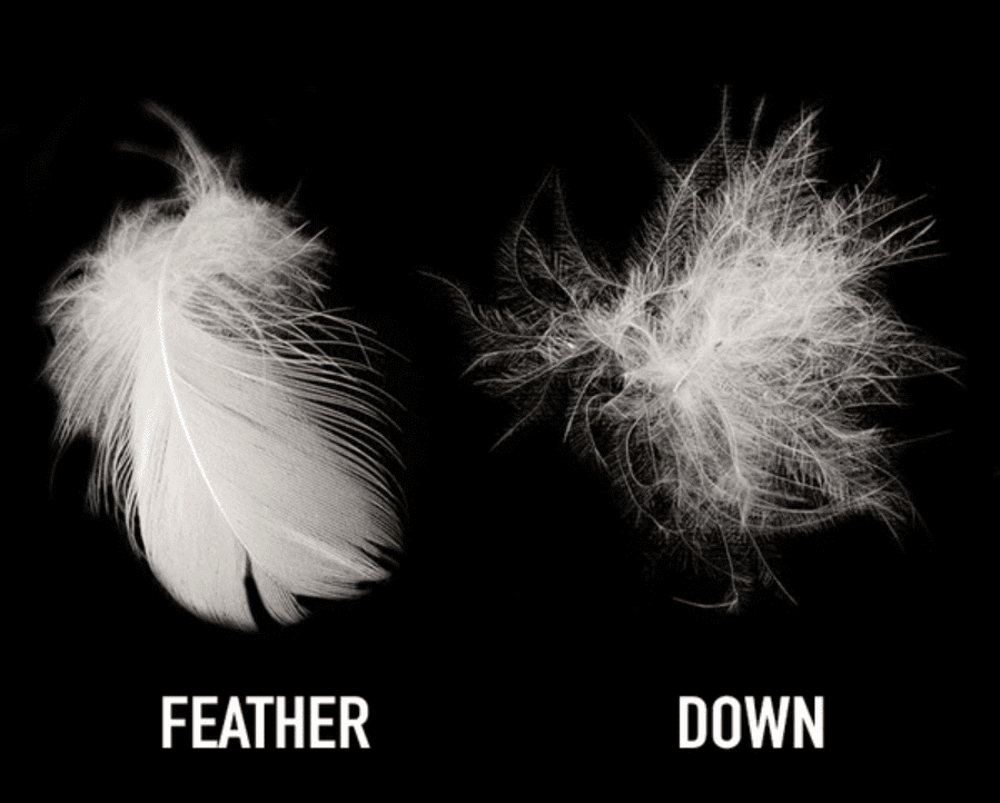 Guide to Buying Down Insulation - Western Hunter