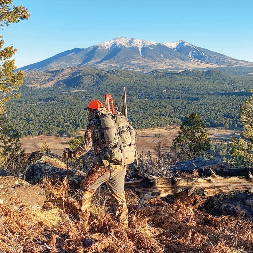 No Time Wasted: Arizona Late-season Elk Hunt - Western Hunter