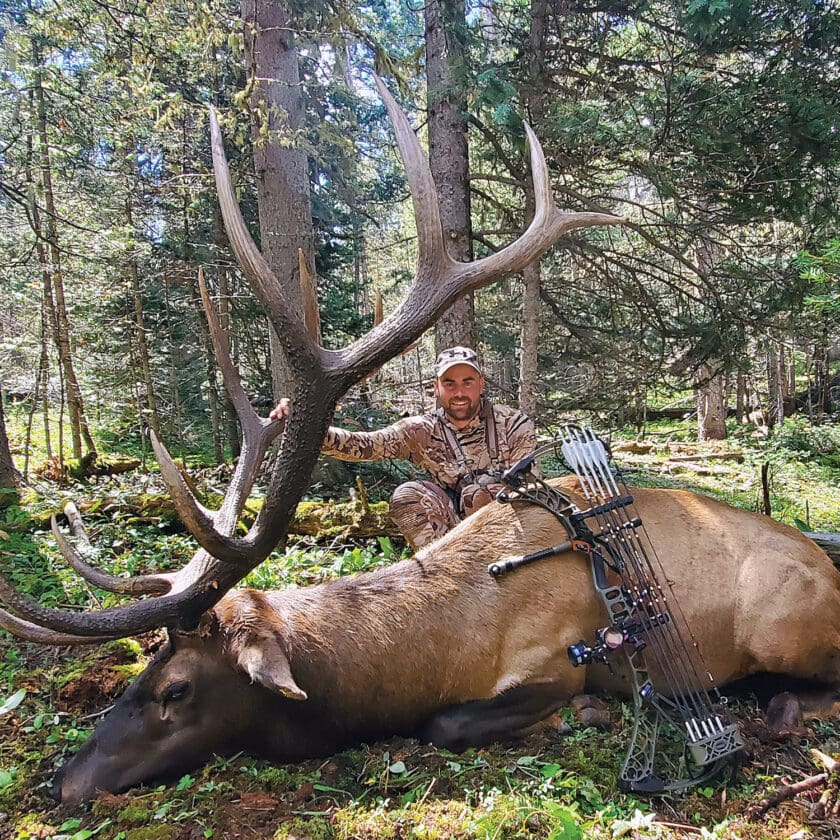 The Meat Bull - Western Hunter