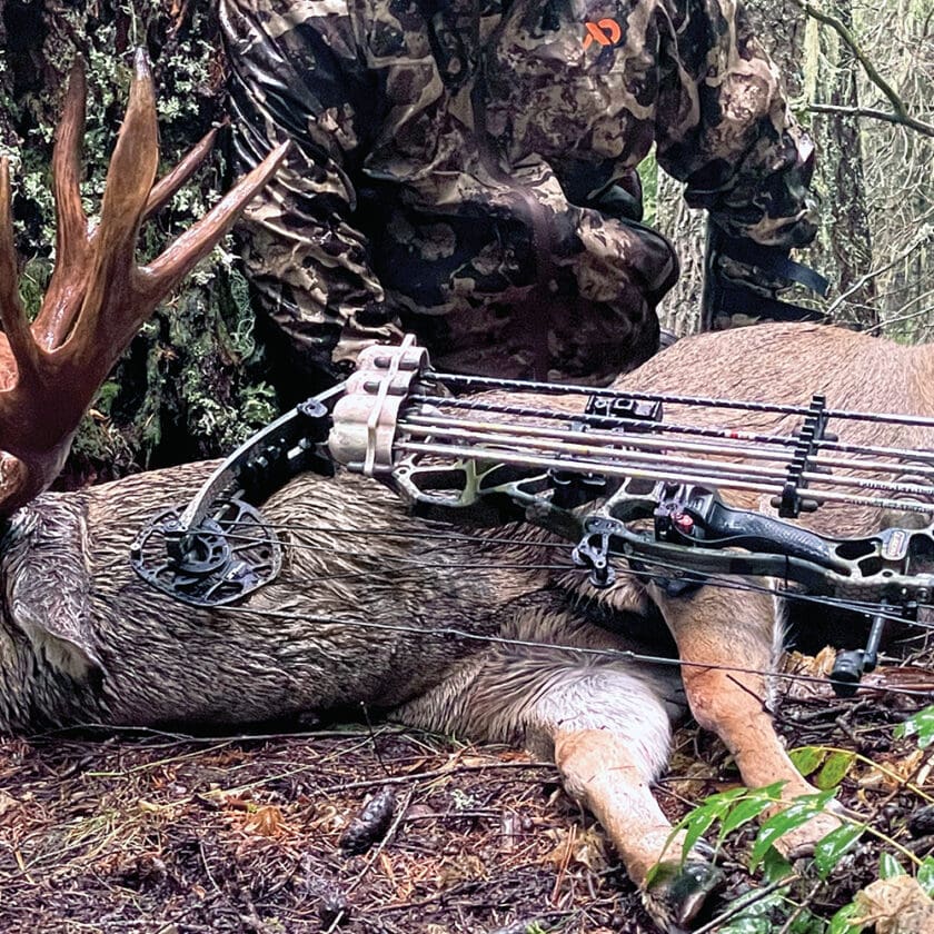 A Monster Pacific Northwest Blacktail Deer - Western Hunter
