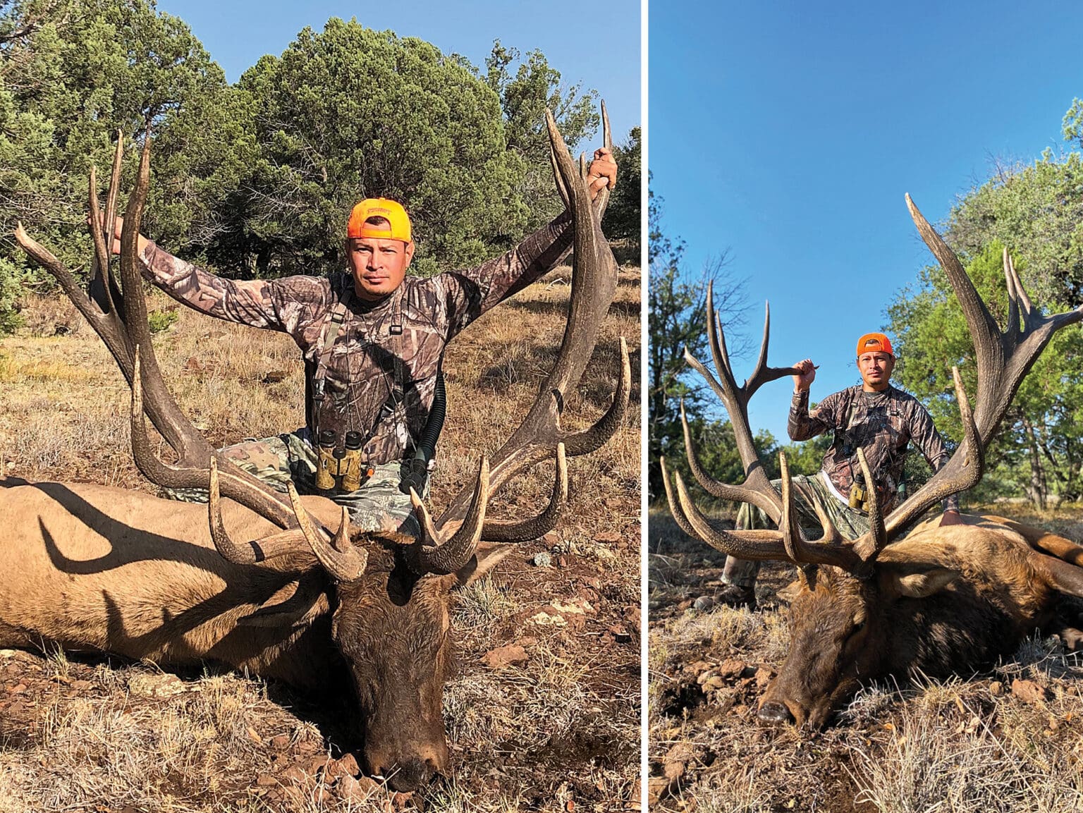 A once-in-a-lifetime bull elk hunt on the Fort Apache Indian ...