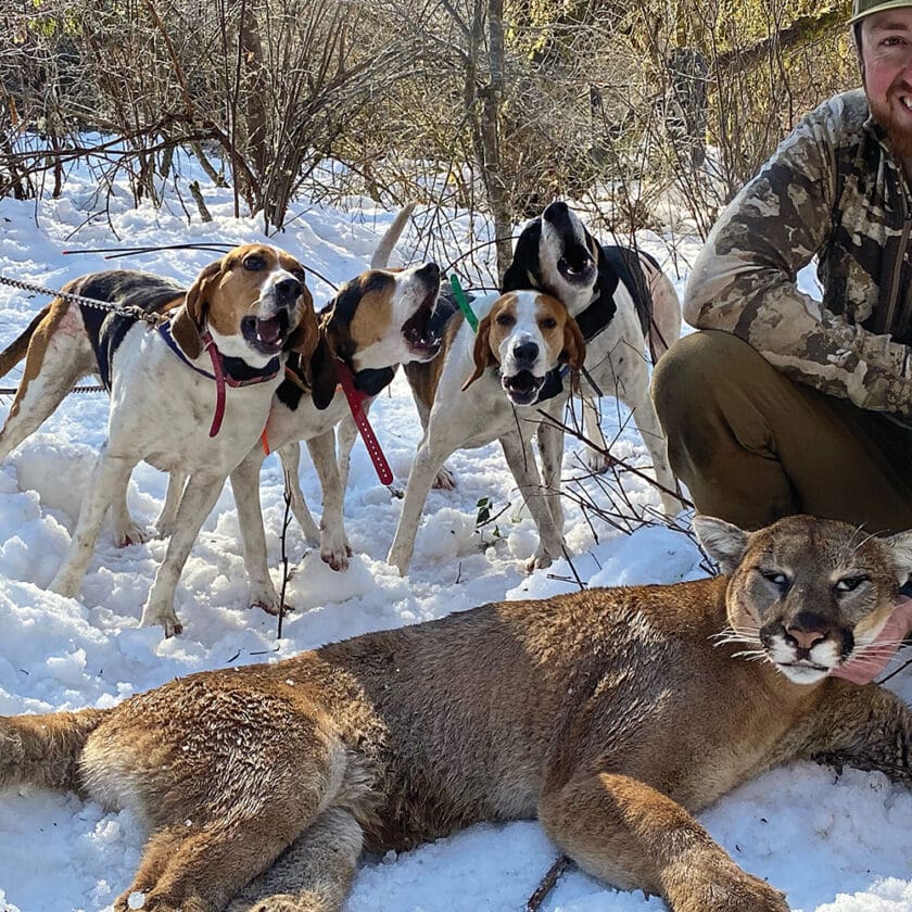 Garmin TT15X and T5X Tracking Collars - Western Hunter