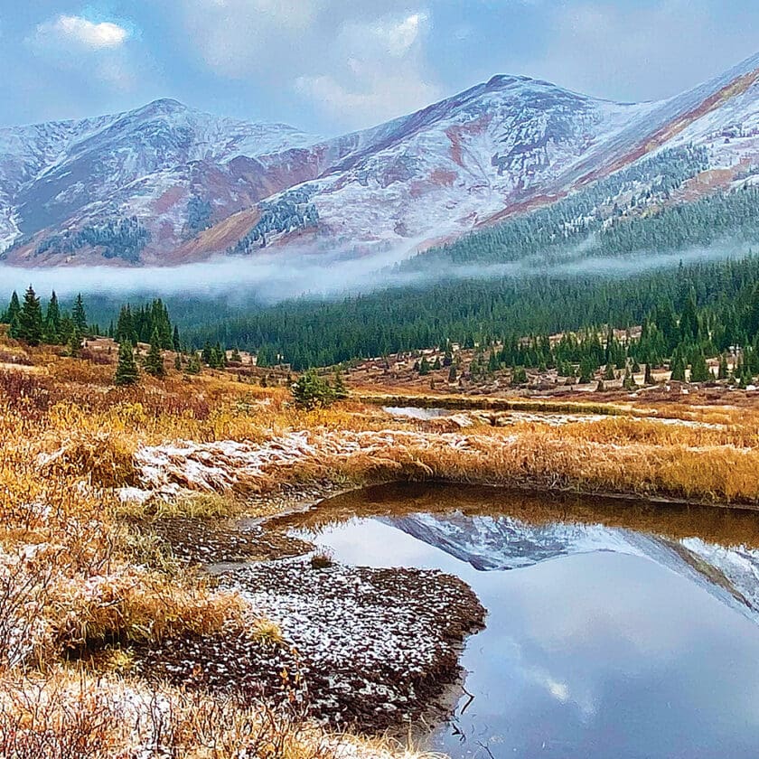 Overcommitment: A Blur of a Season To Remember - Western Hunter